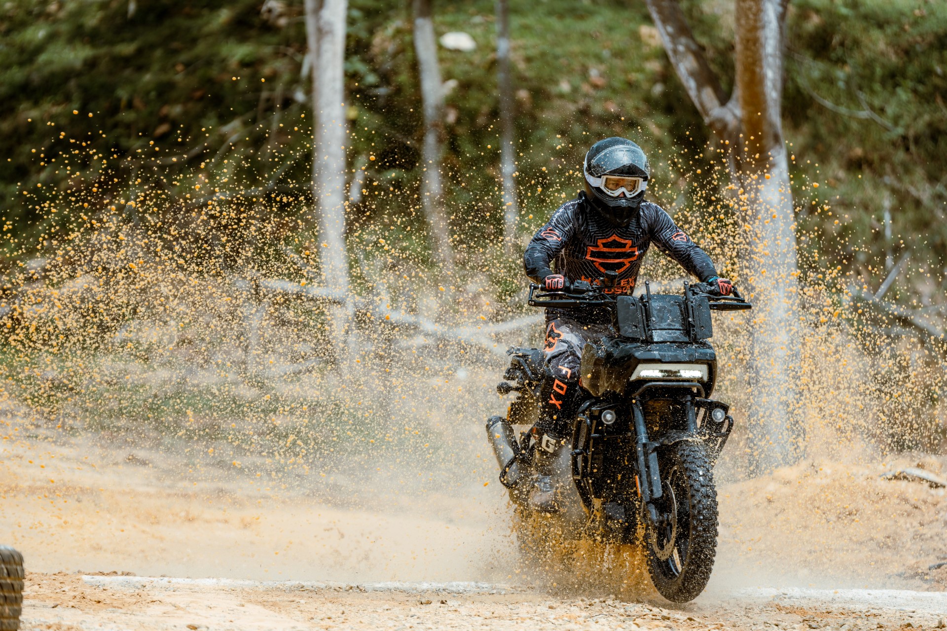 Harley-Davidson storms Sepang For 2025 Dirt. Road. Track. - Burnpavement
